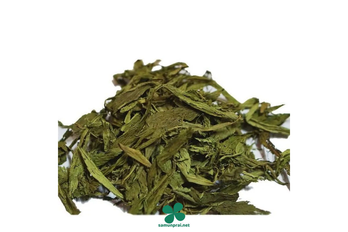 Dried Stevia Leaves - Natural Sweetener | Worldwide Shipping