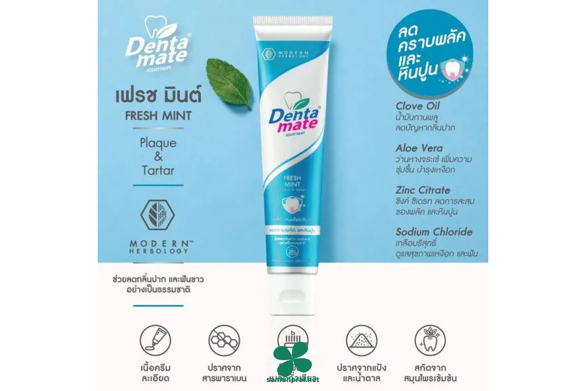 Fresh Mint Herbal Extract Toothpaste Worldwide Shipping 1130