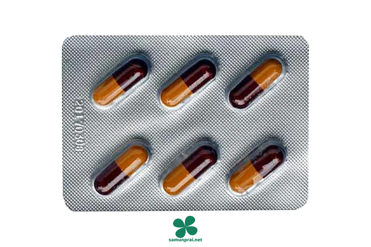 Jiu Jeng Pushen Jiao Nang Capsules | Chinese Herbal Formula for Men